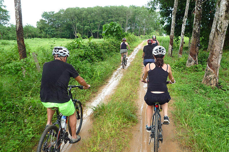 Lesser-Known Activities to Try in Phuket