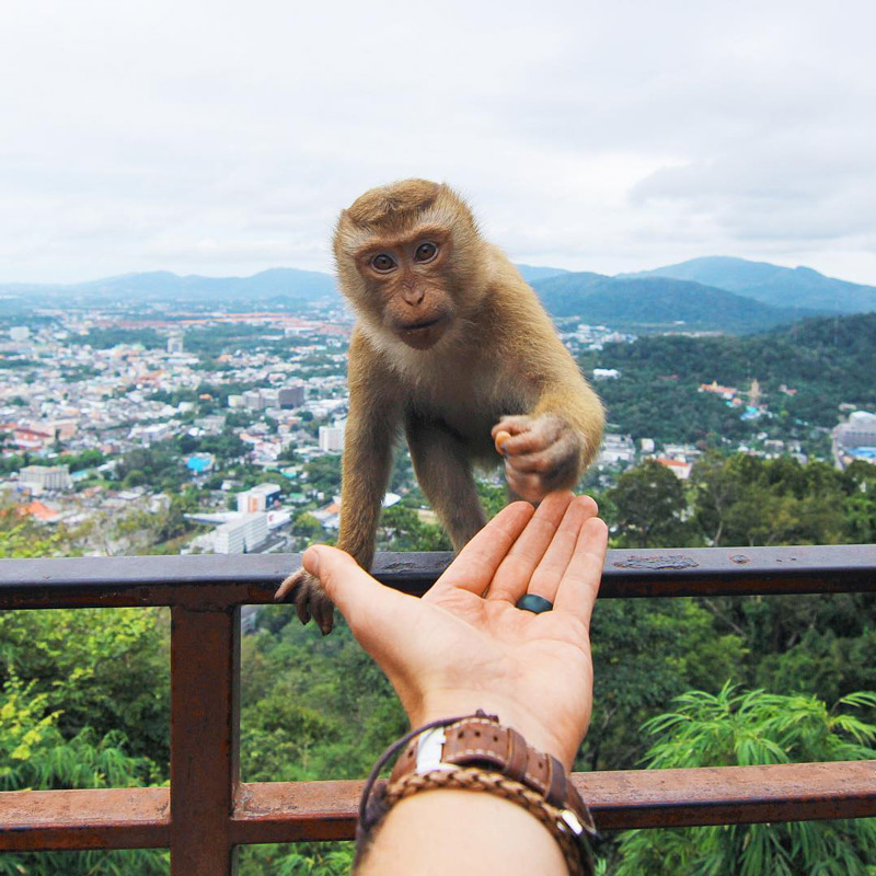 Lesser-Known Activities to Try in Phuket